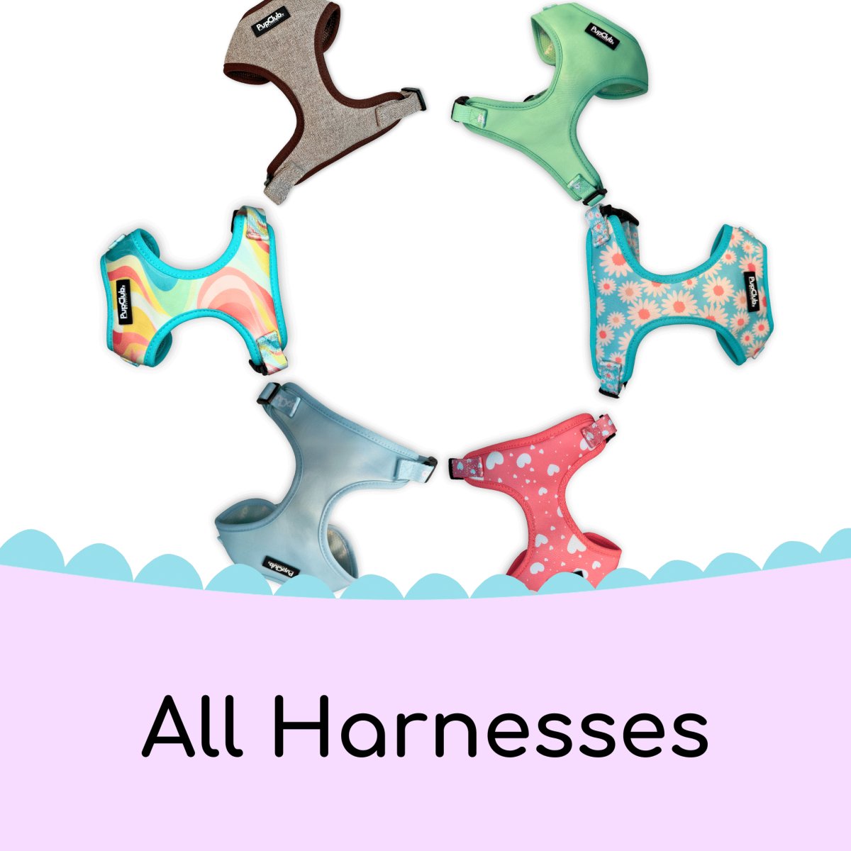 The Benefits of Dog Harnesses: A Better Way to Walk Your Dog – PupClub ...