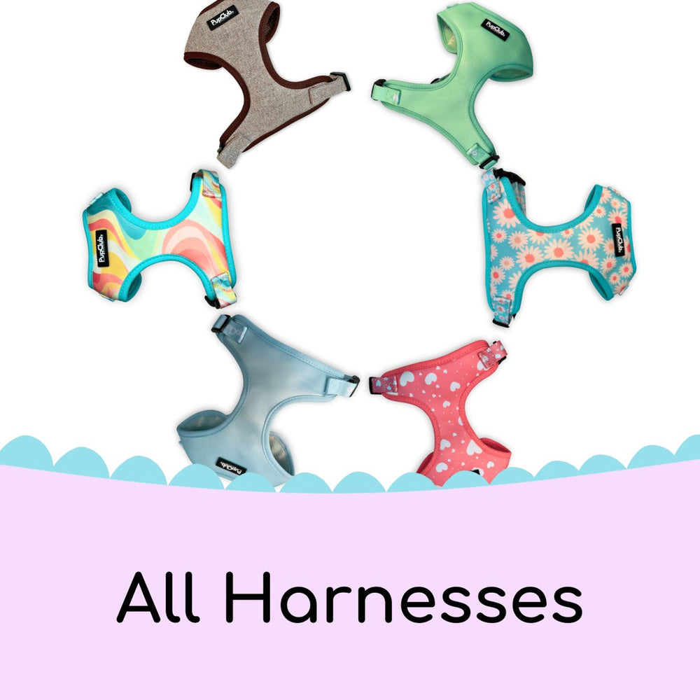 Rugged Rover Dog Harness Bundle | Red Tartan | PupClub Couture