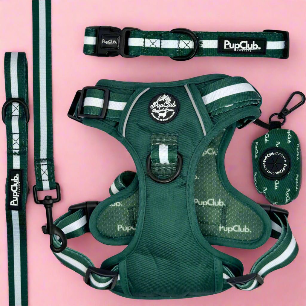 Rugged Rover Dog Harness Bundle | Forest Green | PupClub Couture